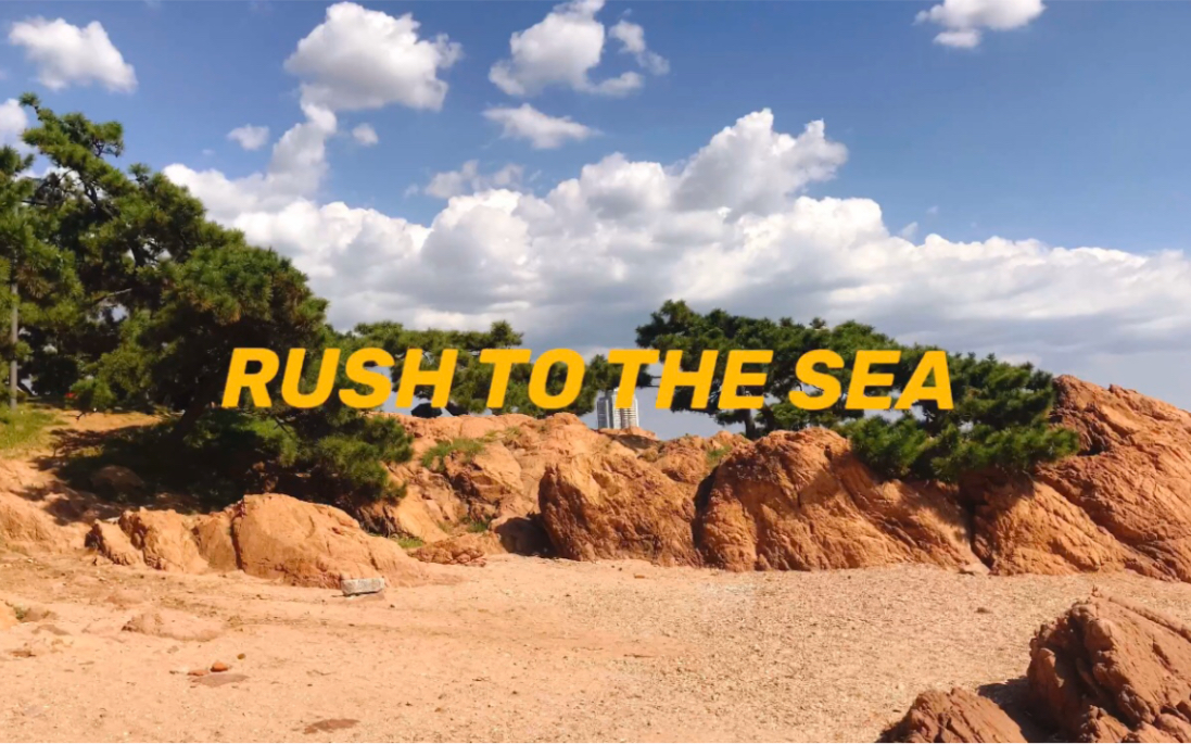 RUSH TO THE SEE
