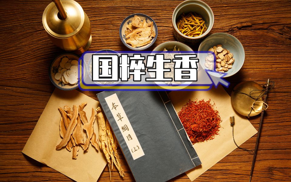 【医游京城 国粹生香】中医药文化旅游宣传片、vlog