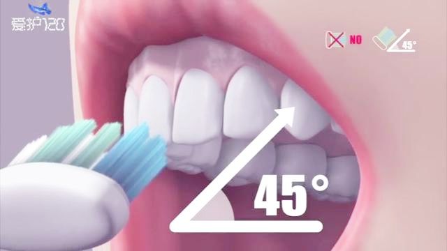 3D动画演示如何正确的刷牙