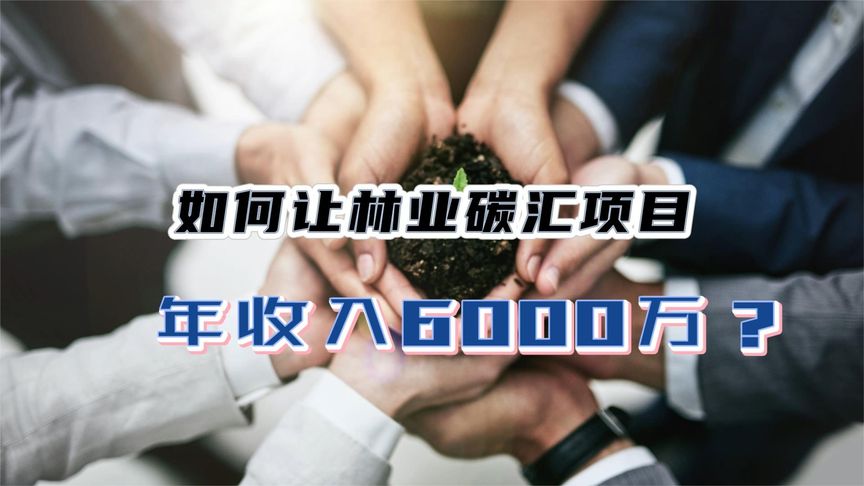 如何让林业碳汇项目年收入6000万?
