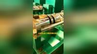 全自动多功能螺旋榨油机 商用大型榨油机 棕榈果榨油机