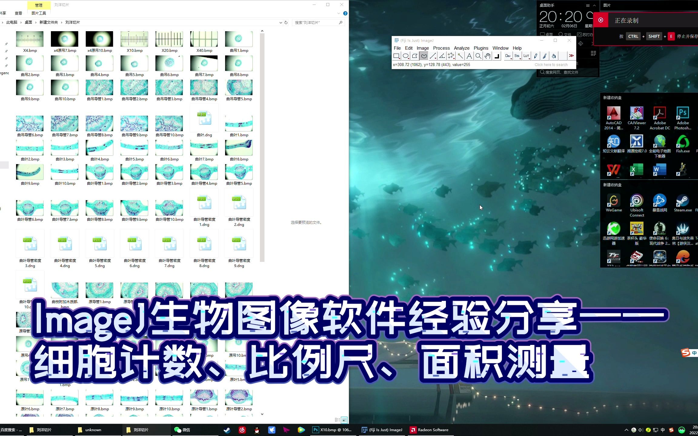 ImageJ/Fiji 植物细胞计数、面积统计、比例尺入门心得