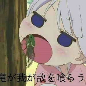 子非良 