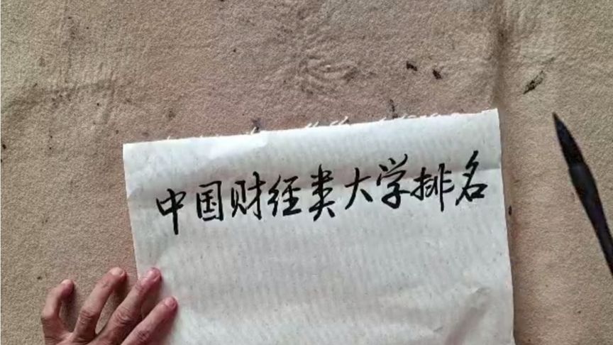 中国10所财经类大学排名,高考志愿填报可参考