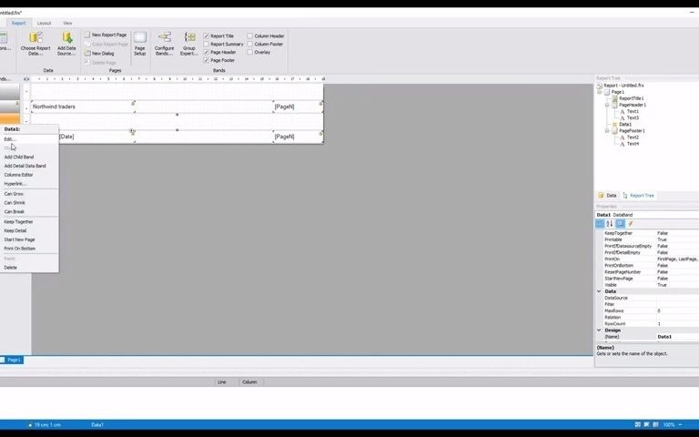 FastReport .NET演示:报告继承(RU)