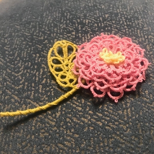 O爱吃橙子的芒果 