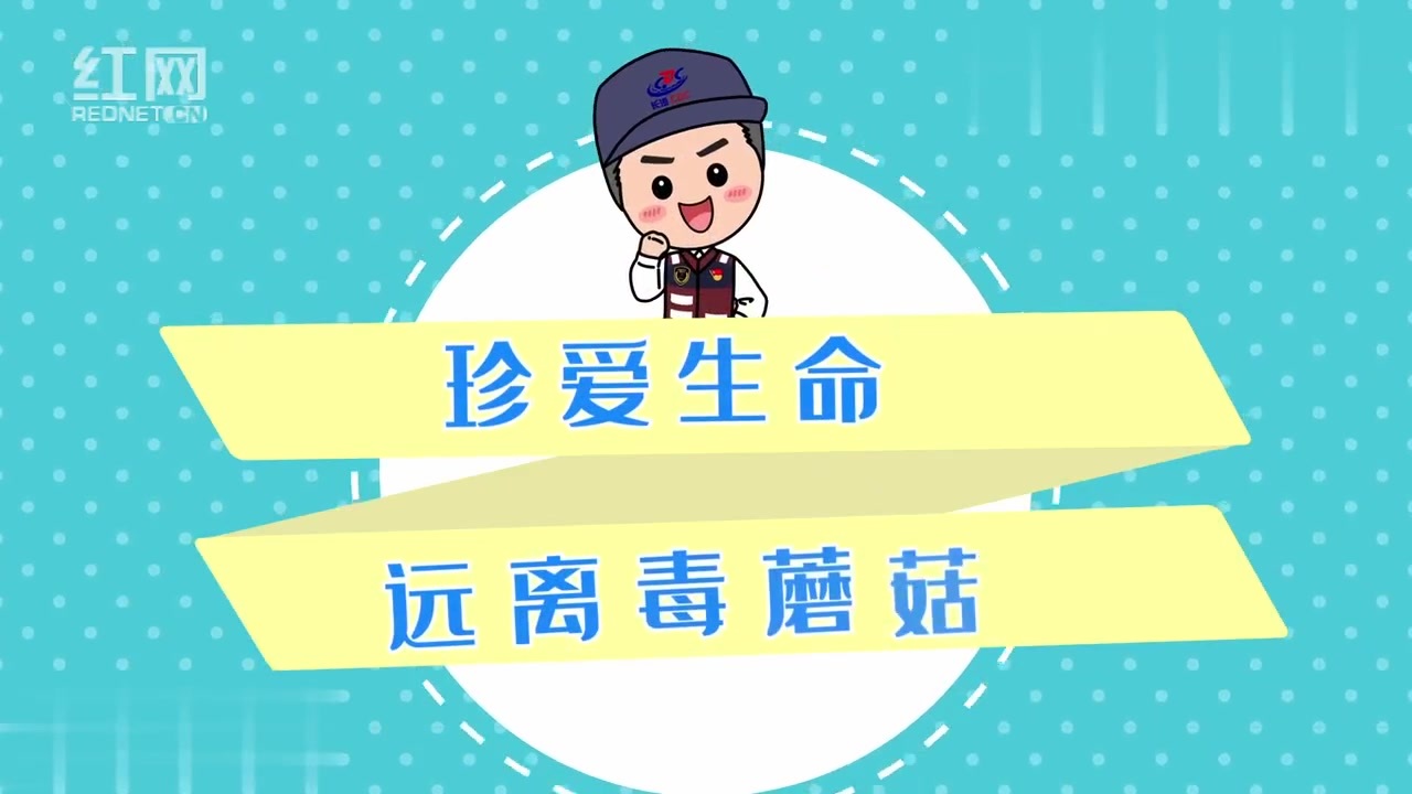 科普动起来|全国食品安全宣传周:珍爱生命远离毒蘑菇