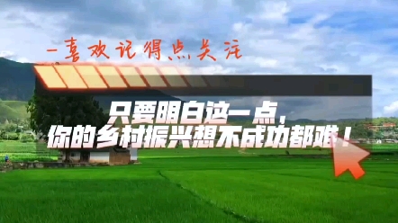 ...的乡村振兴项目想不成功都难#乡村振兴规划#田园综合体#美丽乡村#...