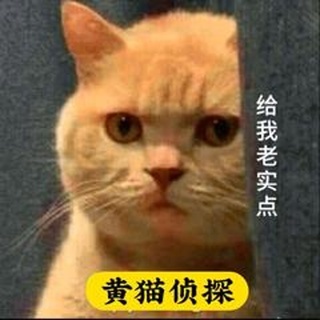 黄猫侦探 