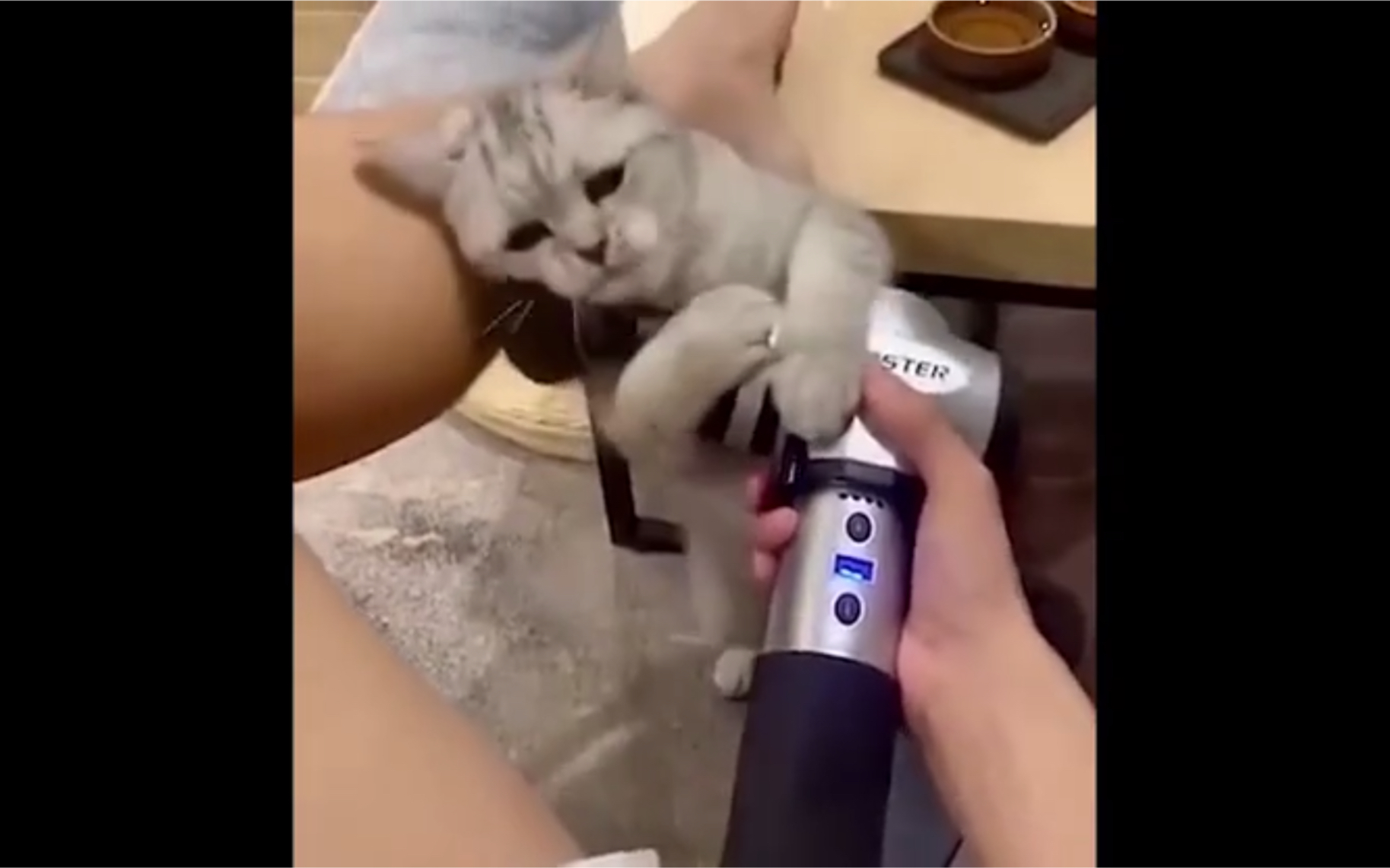 筋膜枪的原理及正确使用方法