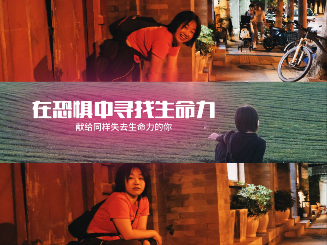 献给同样失去生命力的你,在恐惧和不确定性中寻找生命力。