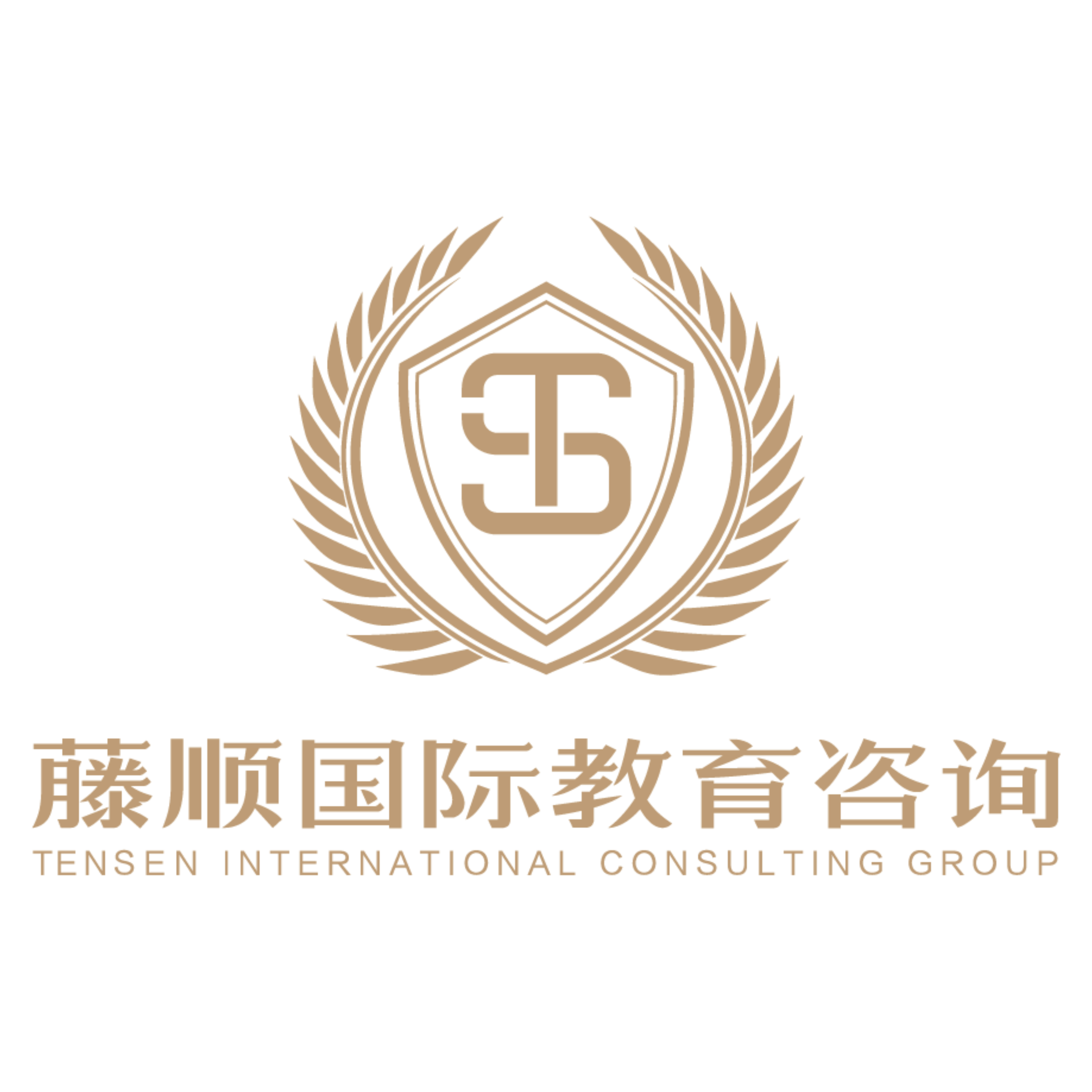 藤顺国际教育咨询 