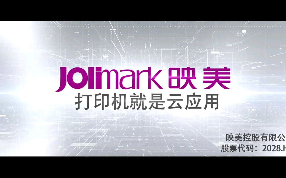 映美控股有限公司介绍
