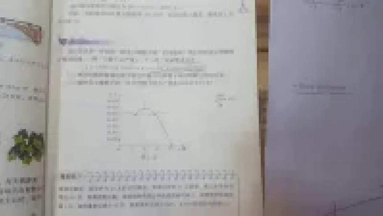 九年级数学下册 九年级下册数学 第二章 二次函数(四)北师版-小邵课堂