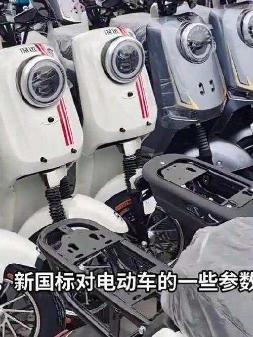 详解十大电动车品牌的不足之处及选购建议