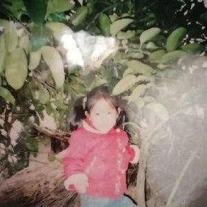 无公害努力小韭菜 