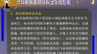 计算机病毒原理及防治12