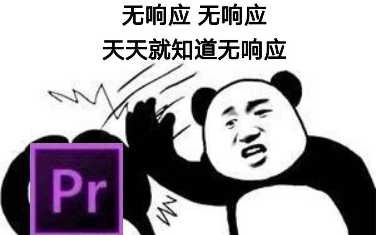 【PR教程】PR疑难杂症之苹果手机拍摄的素材导入播放出现混乱回跳