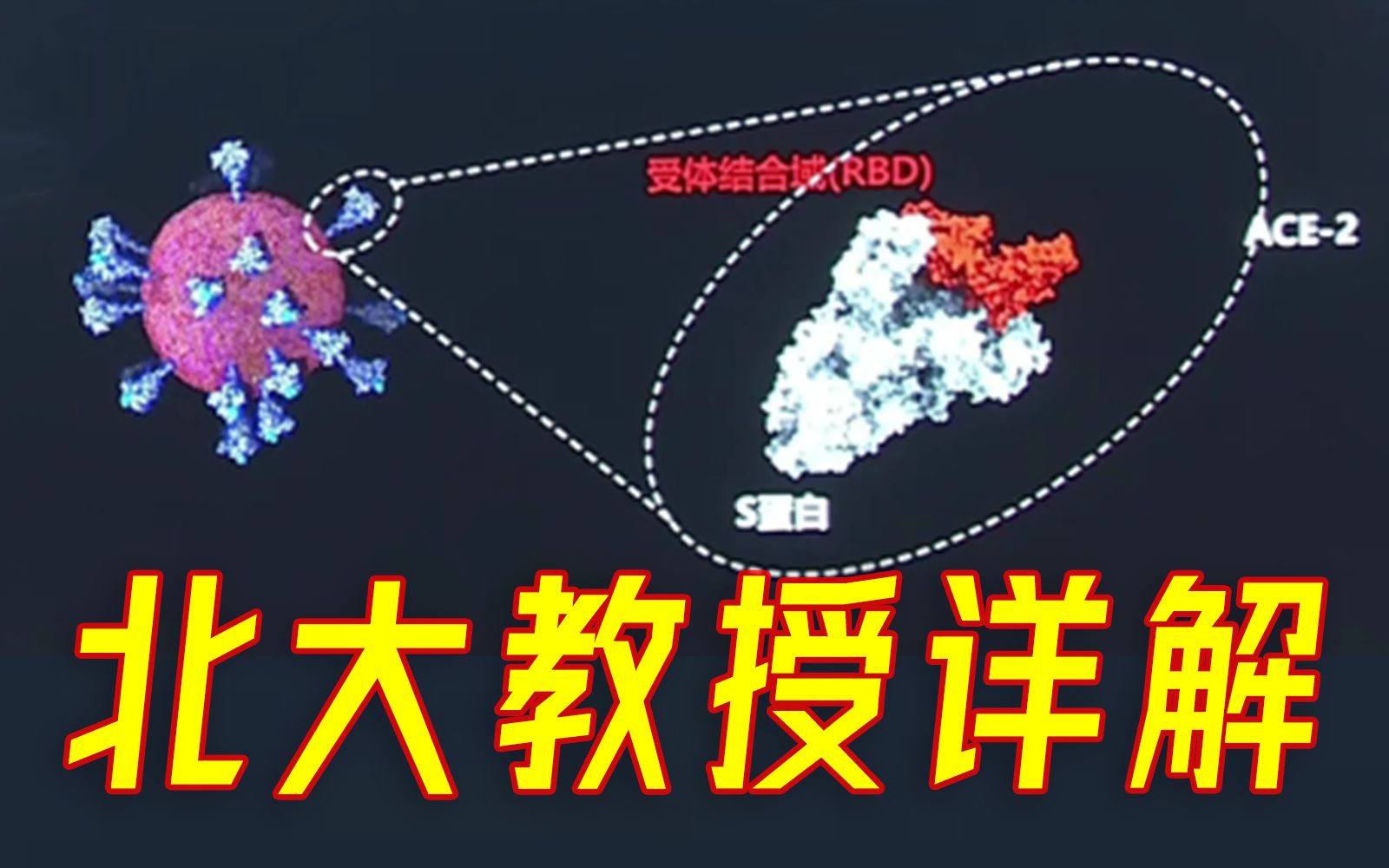 为啥加强针的最佳接种时间是第二针疫苗打6个月后