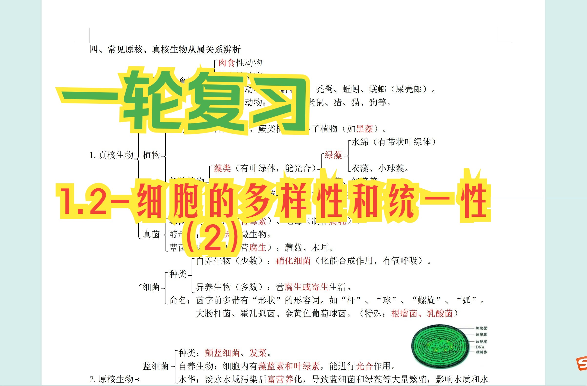 1.2-细胞的多样性和统一性(2)