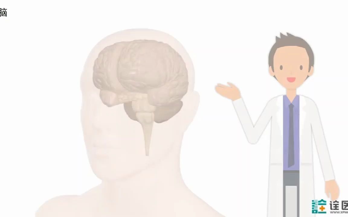 高血压并发症:高血压与脑出血有啥关系