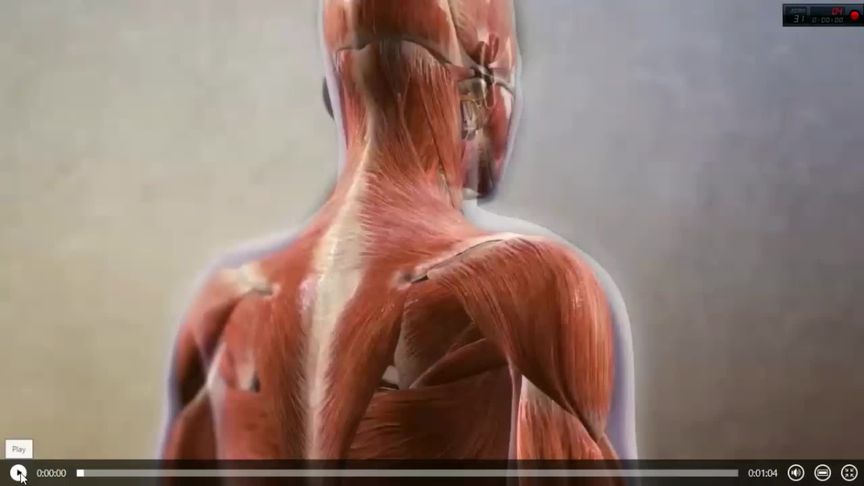 3D动画让你搞懂动作电位#上热门