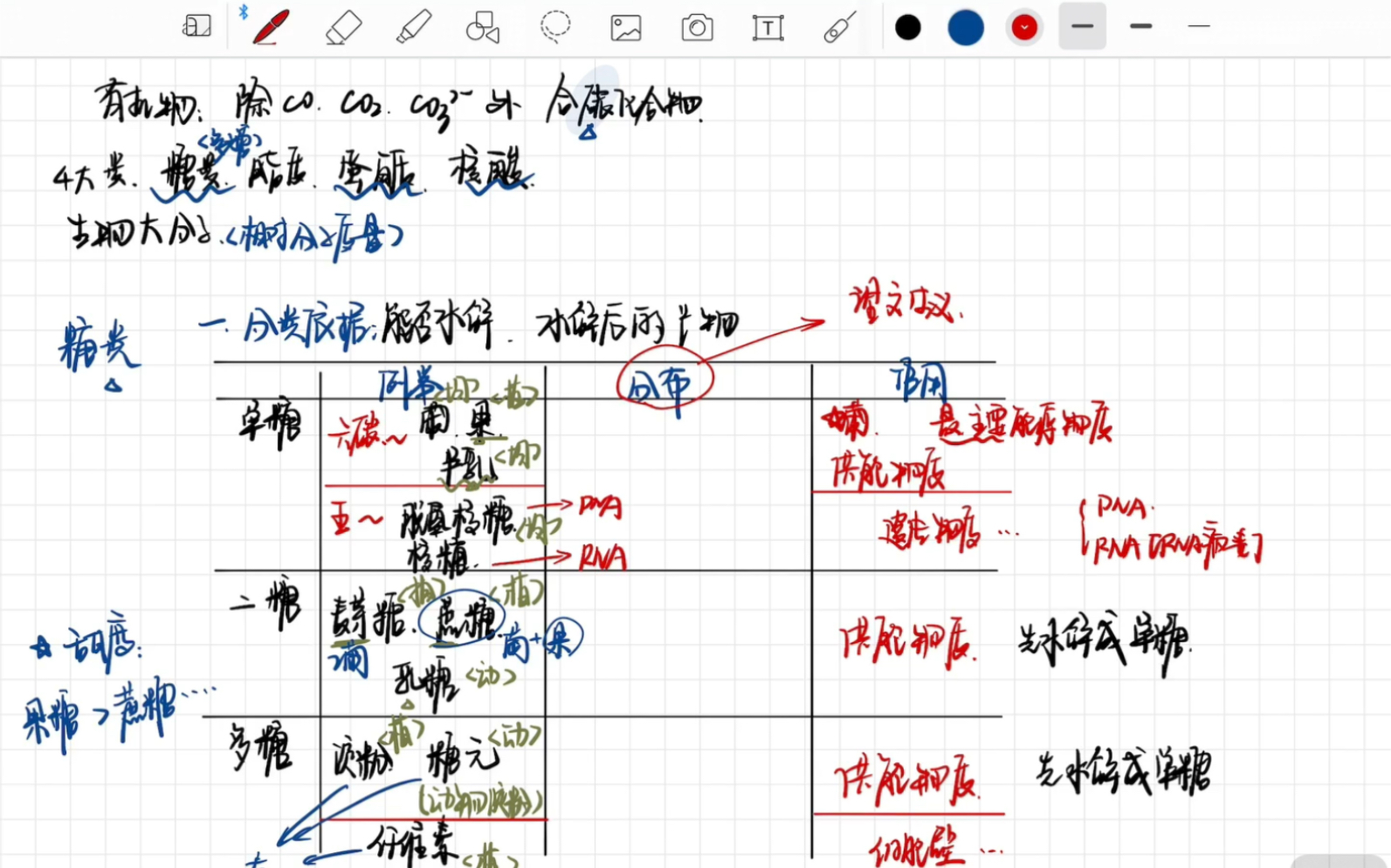 【生物必修一】糖类+解释细胞壁全透性(后半部分使用“结构与功能观...