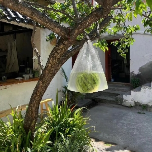 加减满漫 