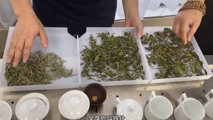 白茶的等级分类赶紧学起来哦!#茶#白茶#审评