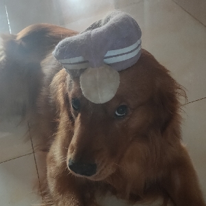 葡萄糖三振口服液 