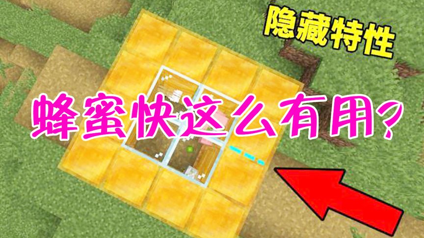 我的世界：蜂蜜块还有这些妙用？这七个特性你知道吗？快学起来