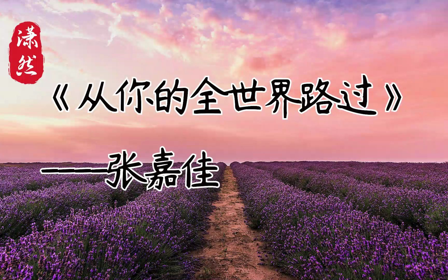 从你的全世界路过 张嘉佳 诵读 潇然 情感美文诵读