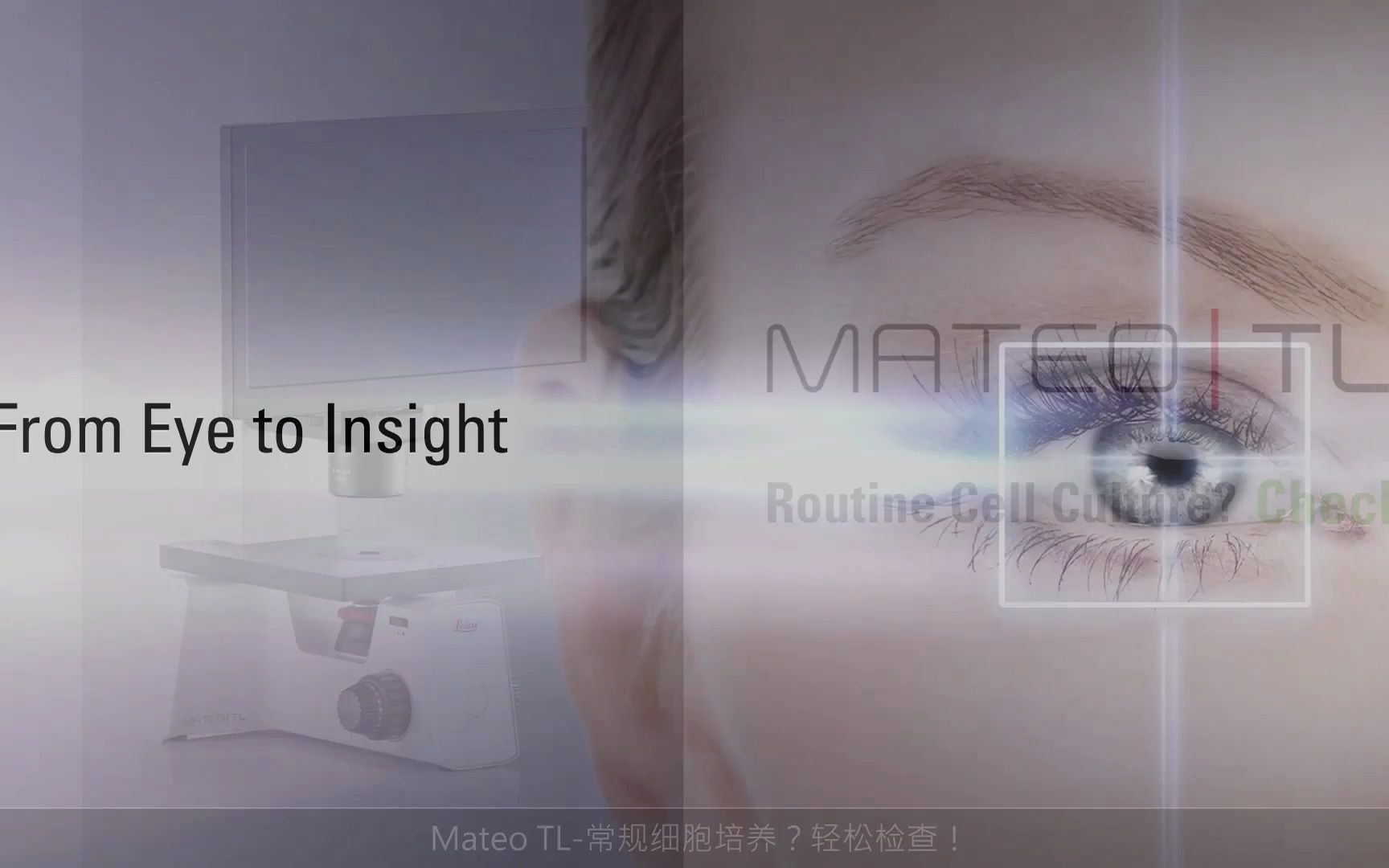 【操作指导】如何开始使用Mateo TL显微镜