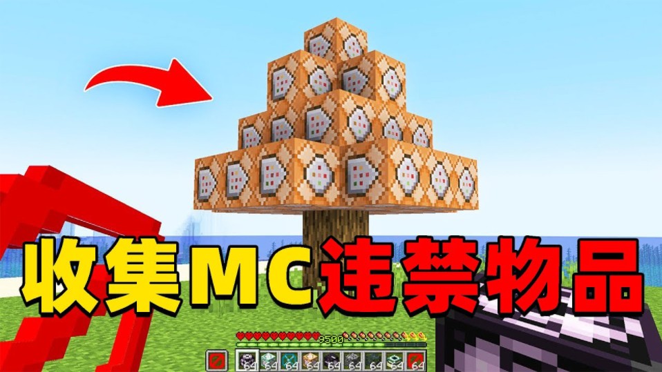 我的世界:收集各种稀奇古怪方块_我的世界