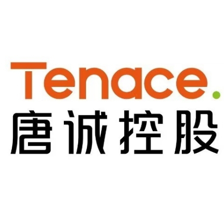 唐诚控股集团 