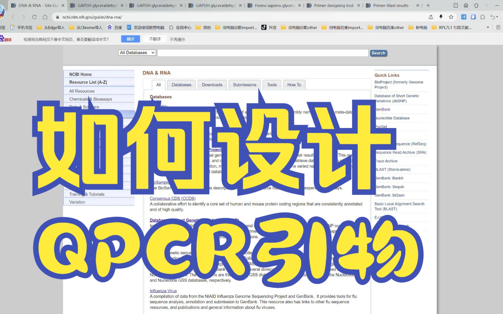 科研大师兄教你如何自己设计QPCR引物