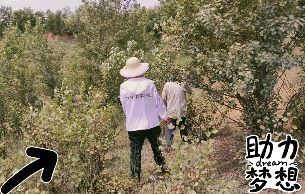 植树造林?我也有份!讲述爷爷40年来造林的过往
