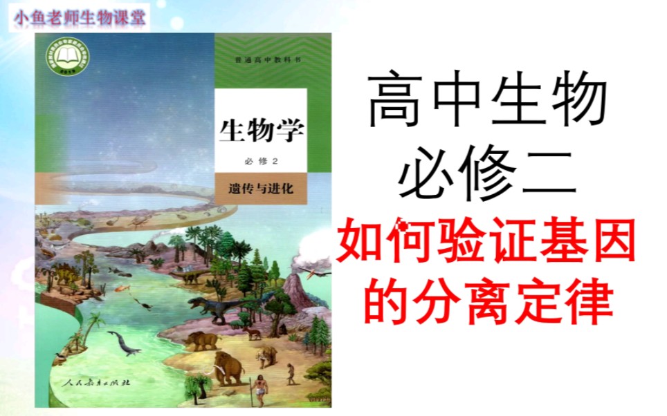 高中生物必修二《如何验证基因的分离定律》