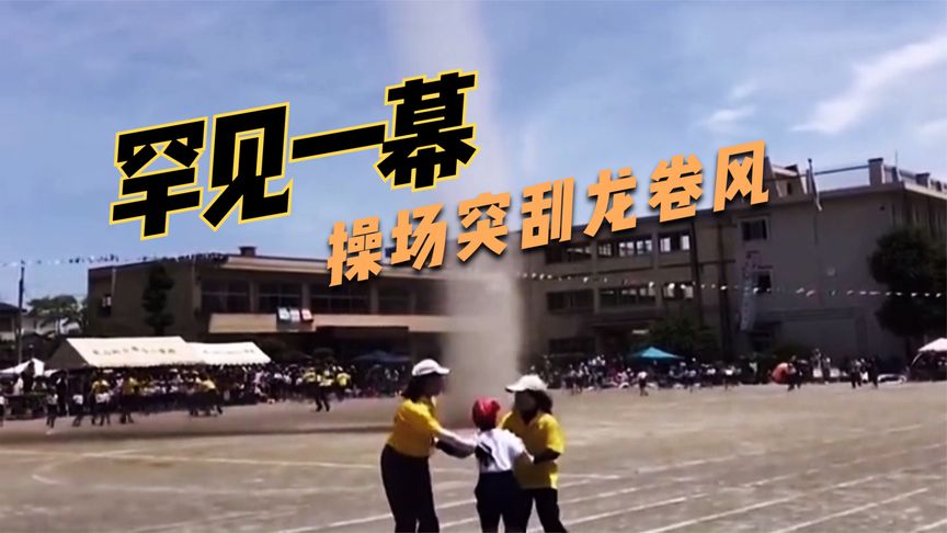 被拍到的罕见一幕