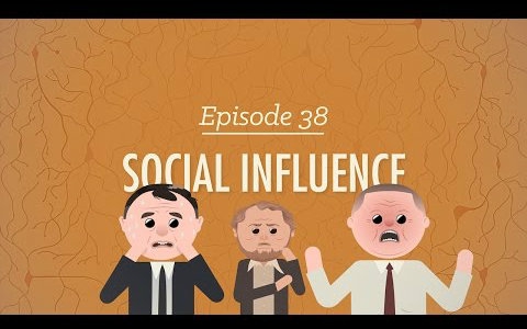 【10分钟心理学速成课】第38集 - 社会影响