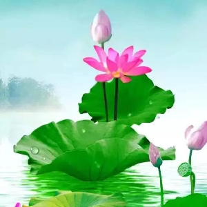 大学数学一点通 