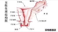 子宫性不孕常见的问题有哪些
