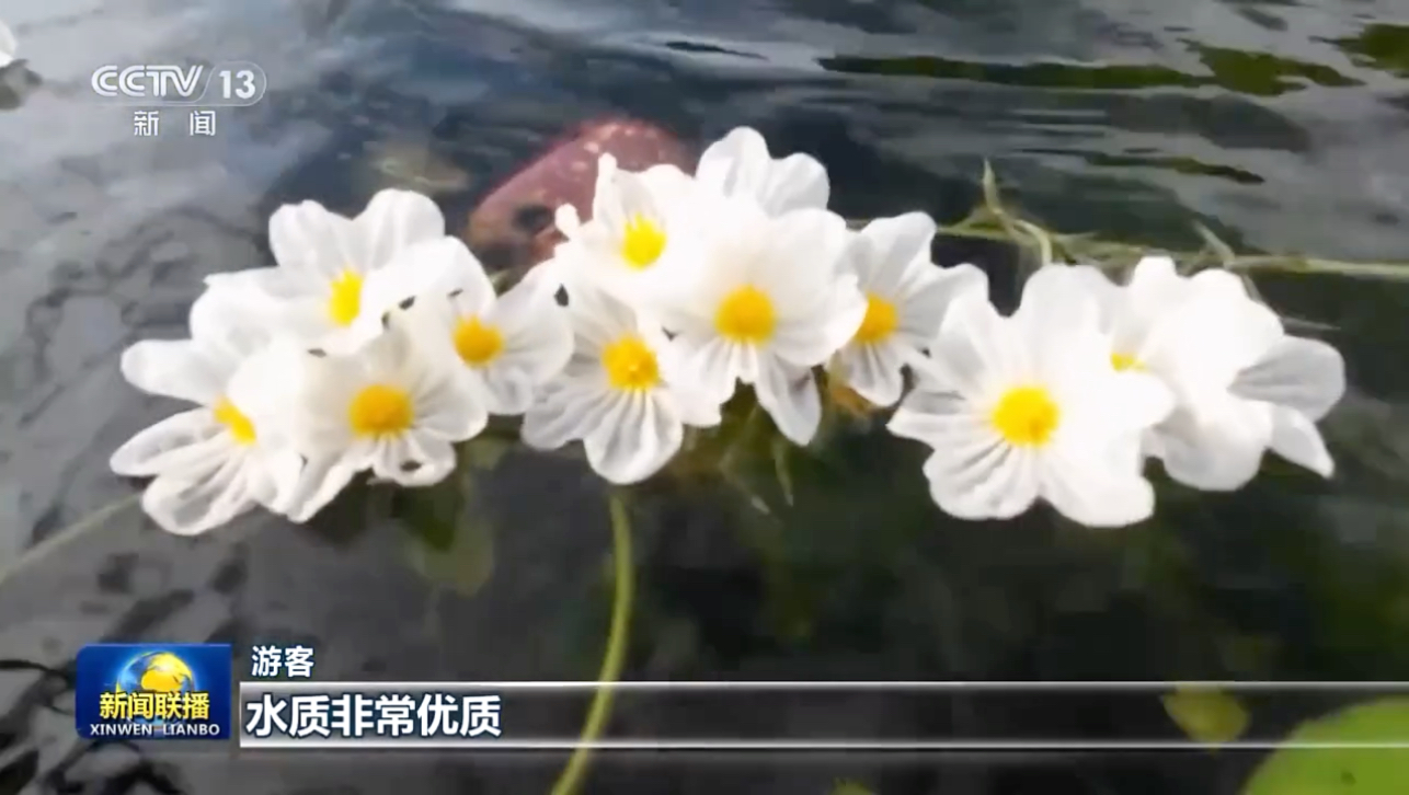 【新思想引领新征程】洱海治理从“一湖之治”到“生态之治”