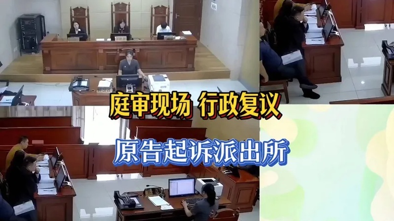 行政复议庭审现场实拍,法庭申请证人是有成本的