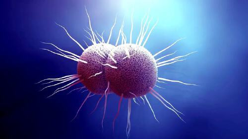 淋病不治后果多严重?这些防护方法能救你!