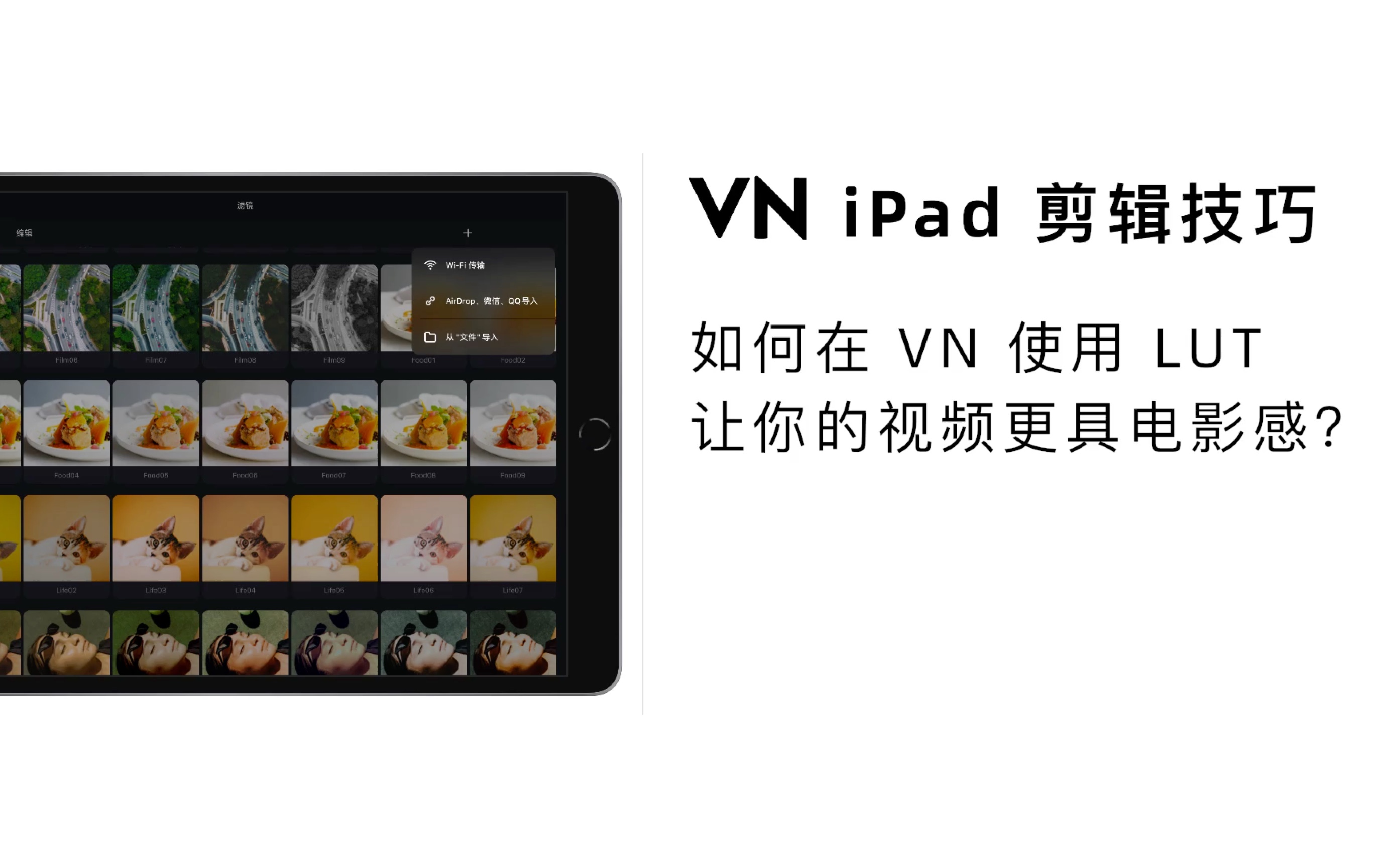 iPad App 教程|如何导入 LUT 在 VN 使用?