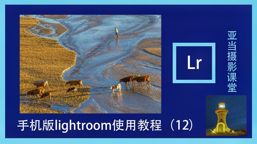 手机版lightroom使用教程(12)--调整画笔