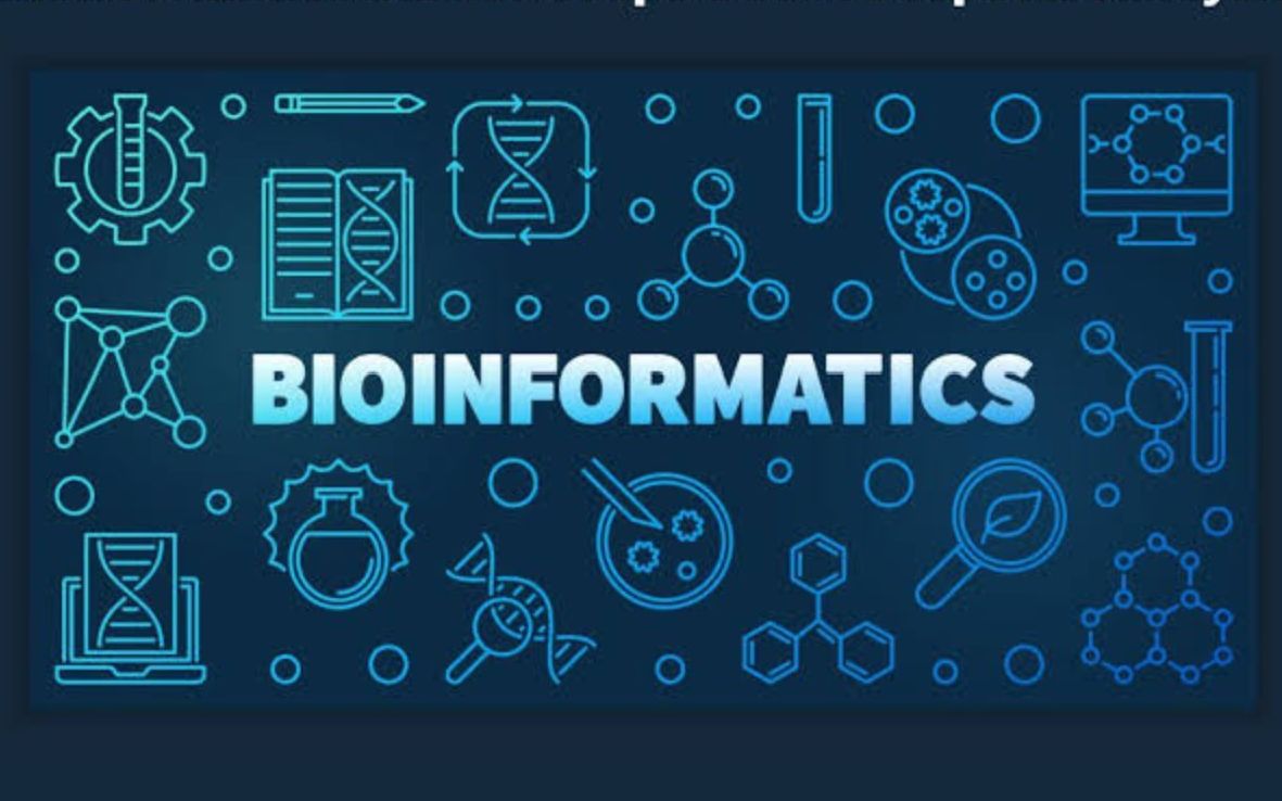【山东大学】生物信息学