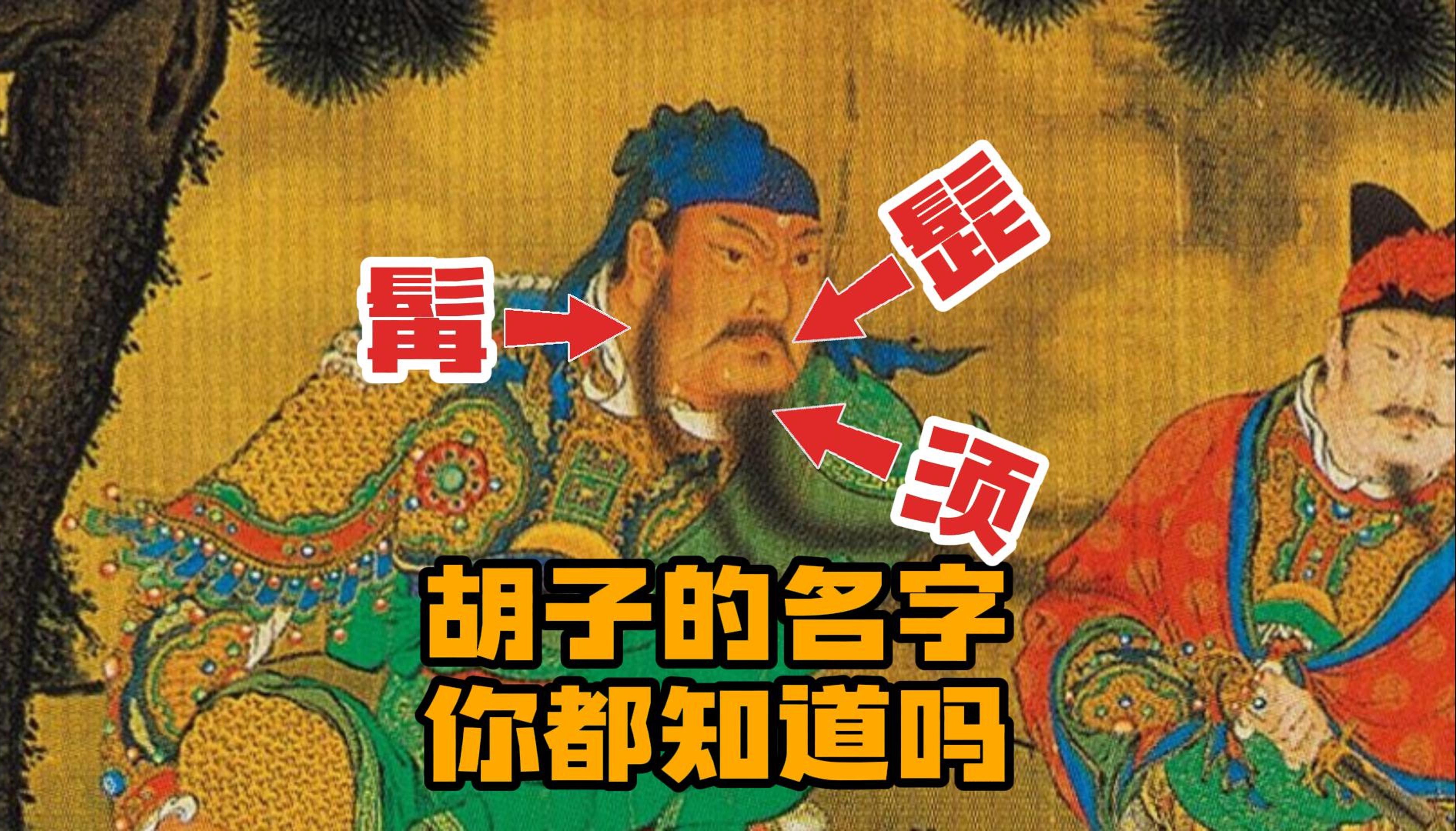 脸上不同部位的胡子,你知道它们的正式名称吗?