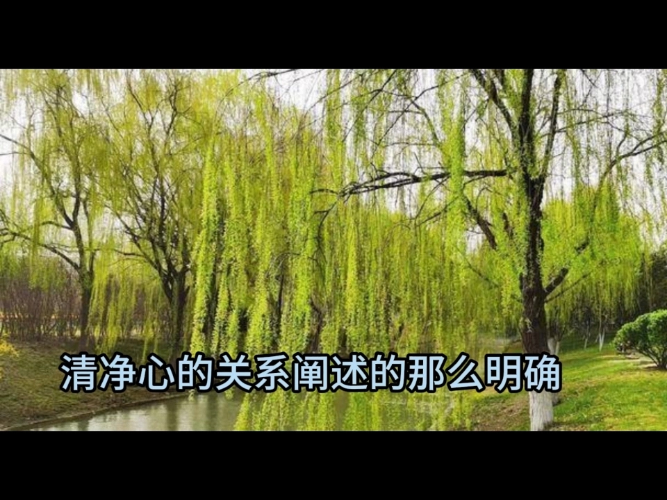 老子学院熊春锦先生清明节课程:清明时节话清明(二)